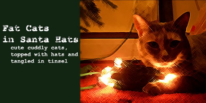 Fat Cats in Santa Hats