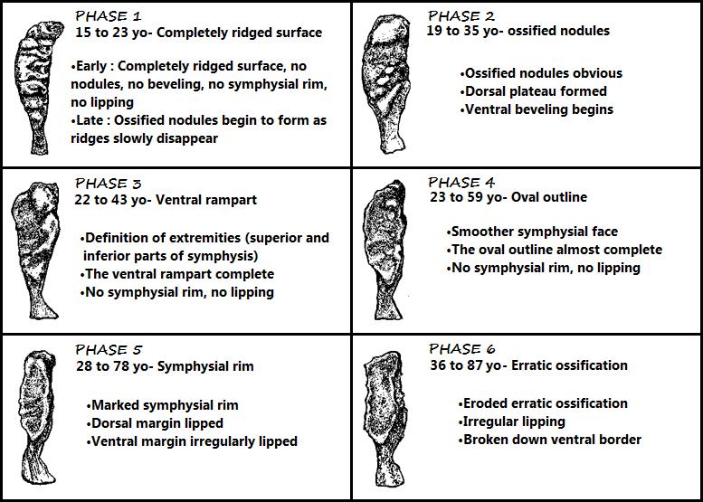 Let's talk about HEALTH beyond its border..: As Every Detail Counts