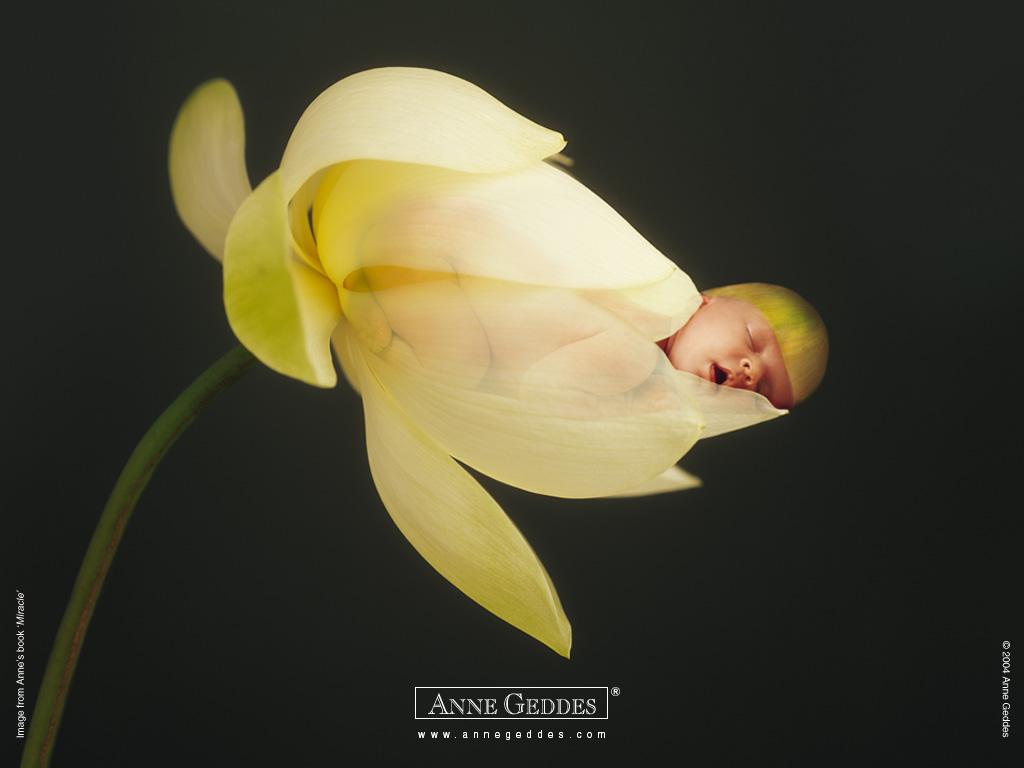 MUZAK-THE ONE AND ONLY: Baby Pictures by Anne Geddes (70 Amazing Photos)