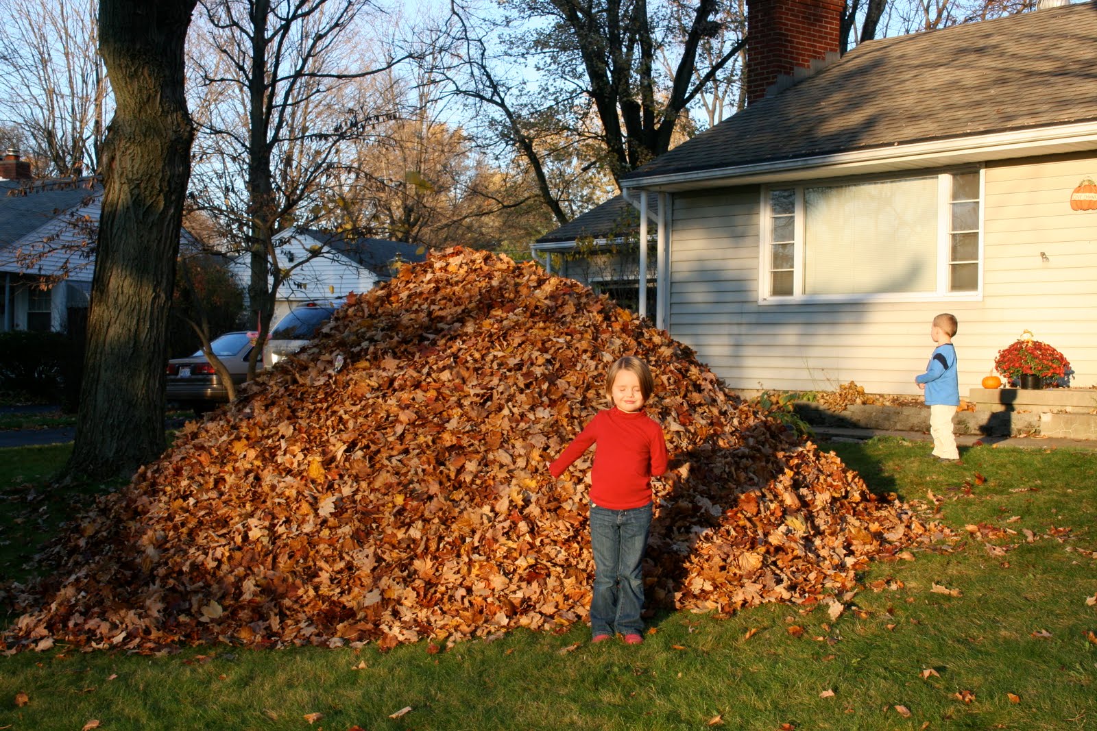 Life on Forestdale: Largest Leaf Pile in the World