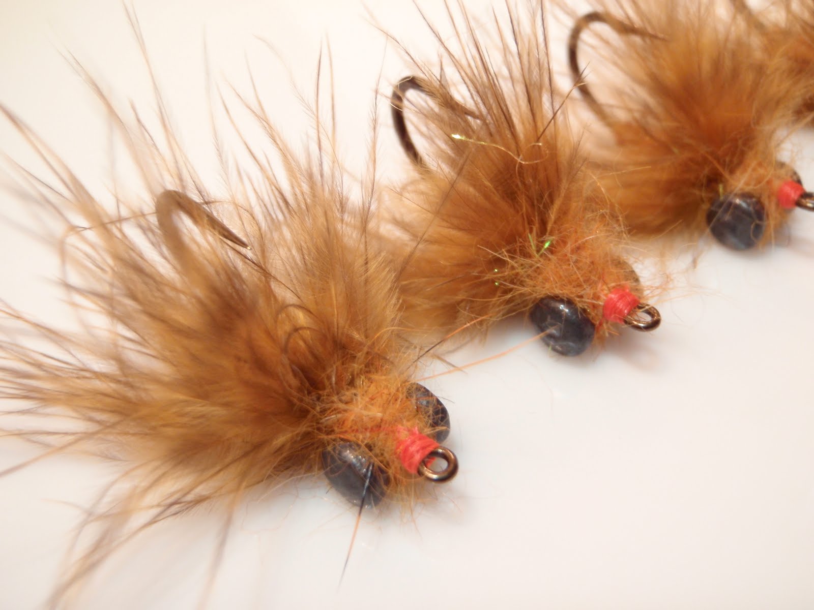 The Jersey Angler: The Carp Carrot