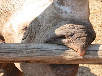 The Events: 2010-01-31