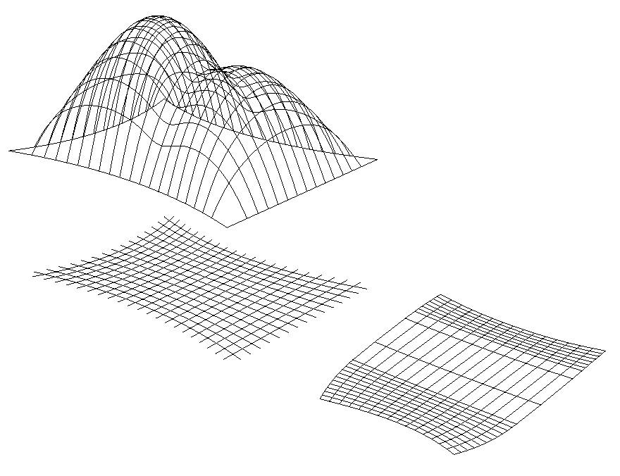 eat-a-bug: June 2010