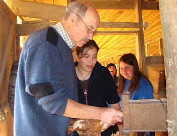 Avicultura: Construcciones Avícolas más comunes