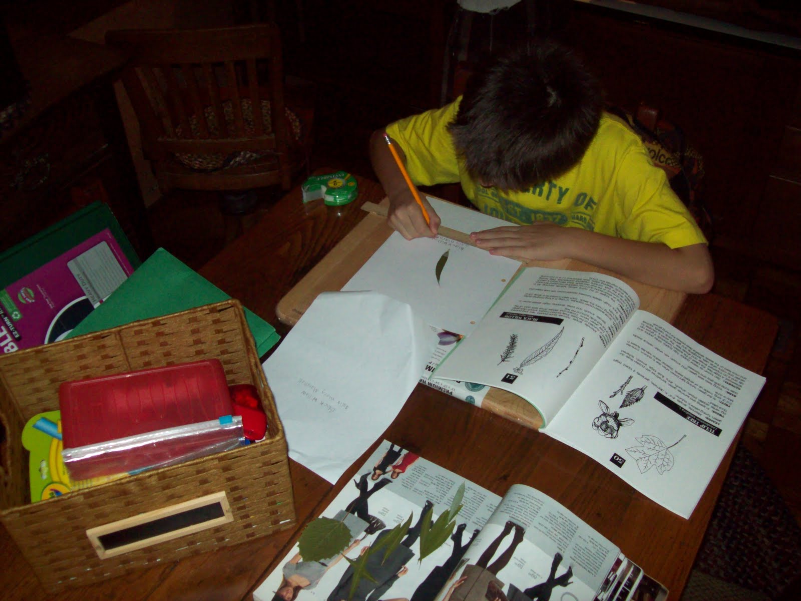 A Primitive Homestead: Rain Dancing On The Tin Roof