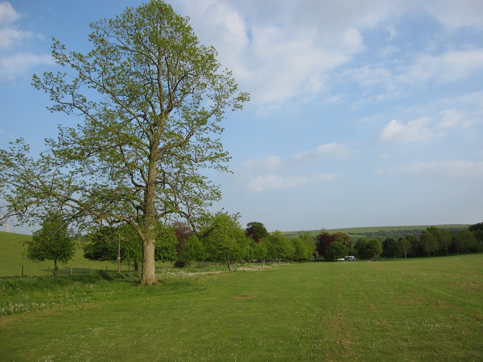 Adventures in Brighton: Pastoral England