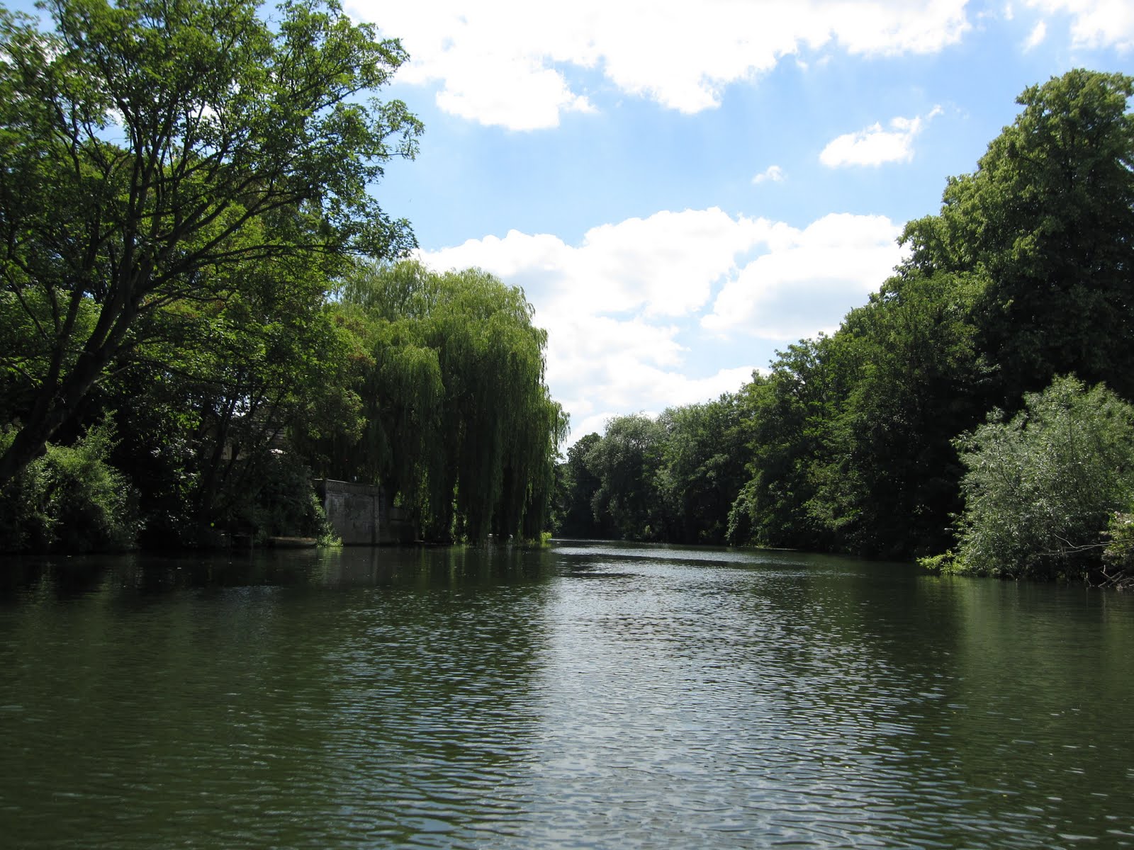 Adventures in Brighton: The River Avon