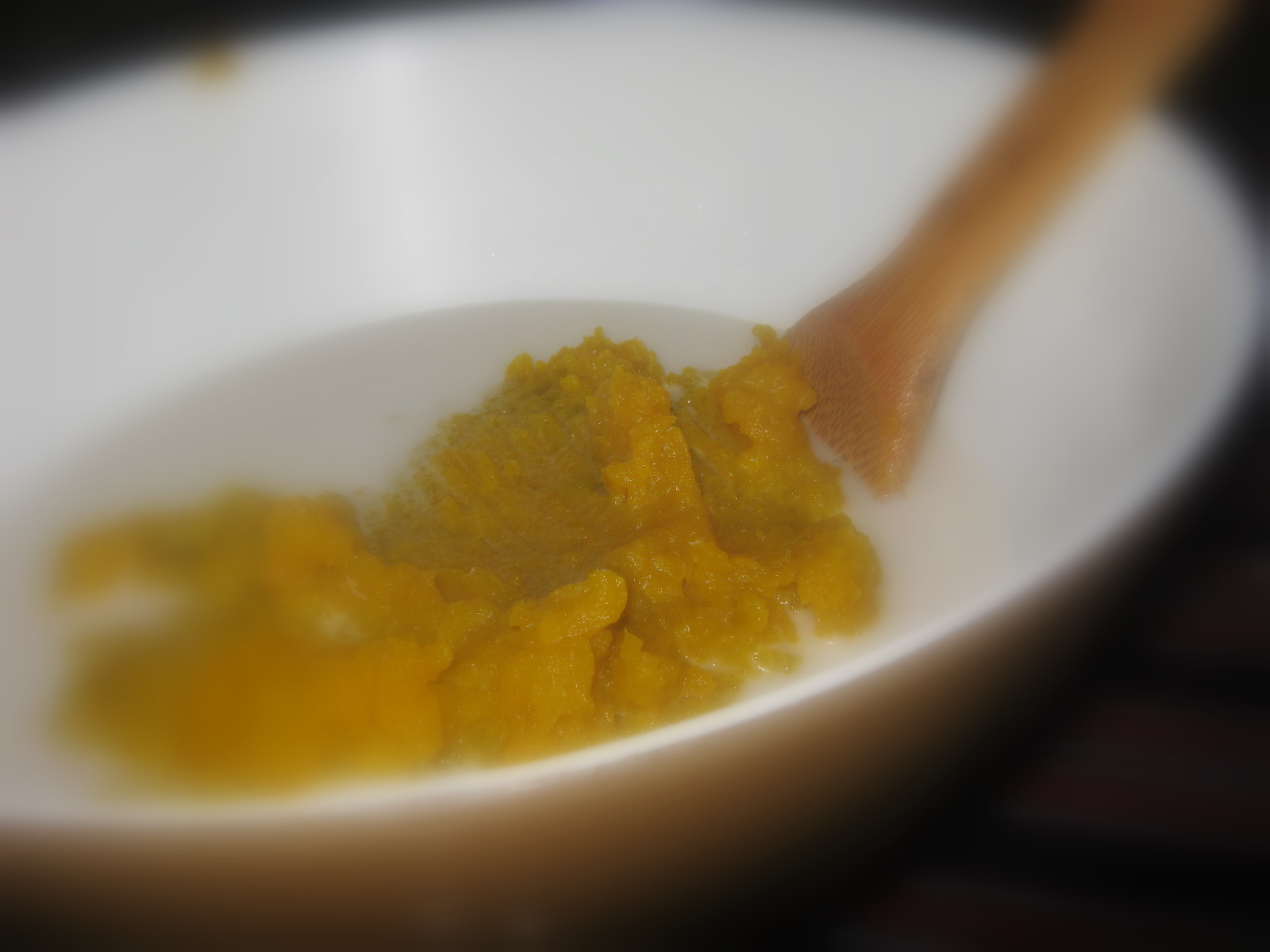 Benguet Cook..: squash maja blanca