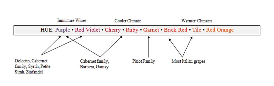 Wine from the Vine: Basic Information About the Color of Wine