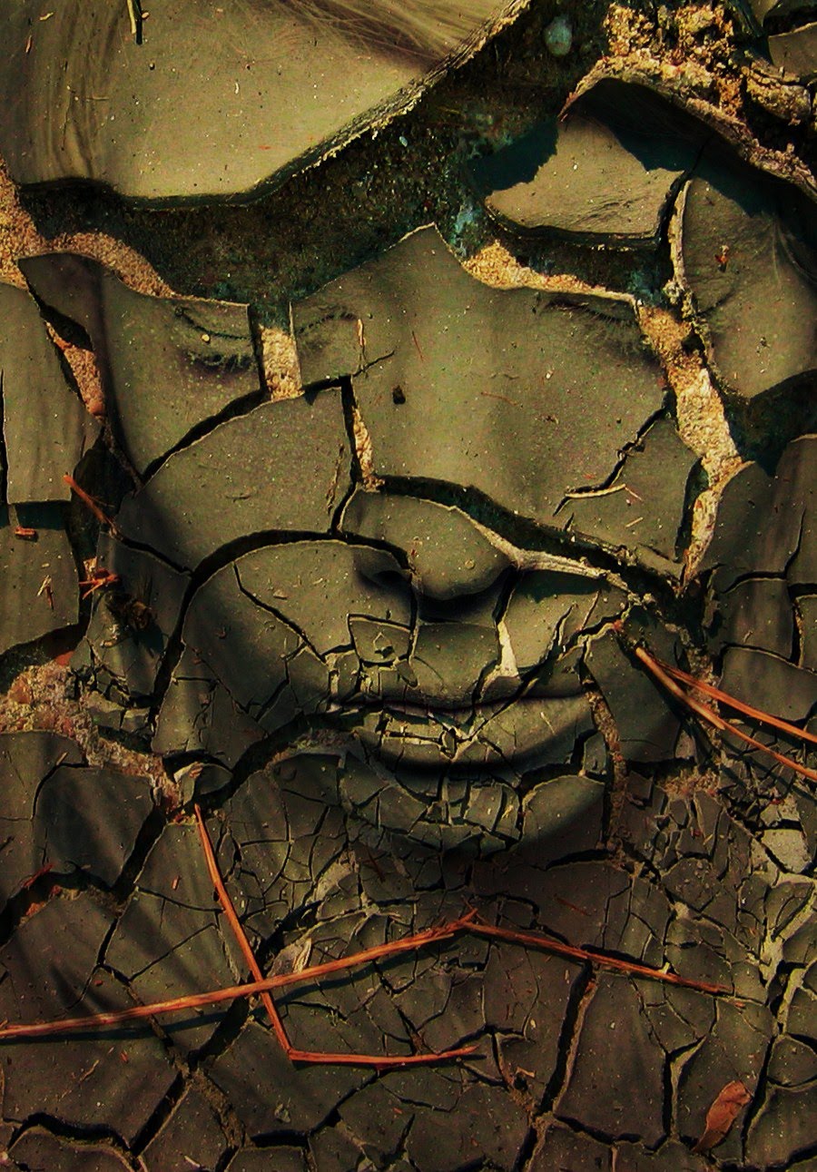 CAZADOR DE AGUA: La caída de Armando Almánzar Botello