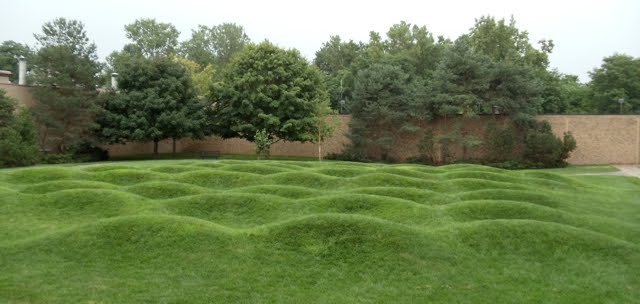 Michigan 1001 Daily Photo: The Wave Field in Ann Arbor