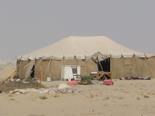 Blue eyes in Kuwait: Camping in Kuwait