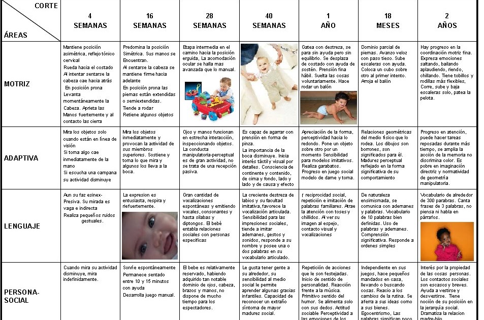 Sabana de GESELL: TABLA DE GESELL