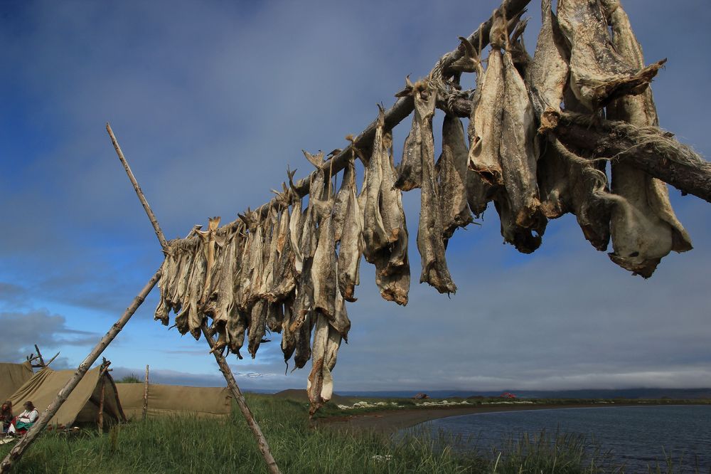 ISLANDIA, humilde flor en la eternidad: AKUREYRI (IV): la feria de Gásir