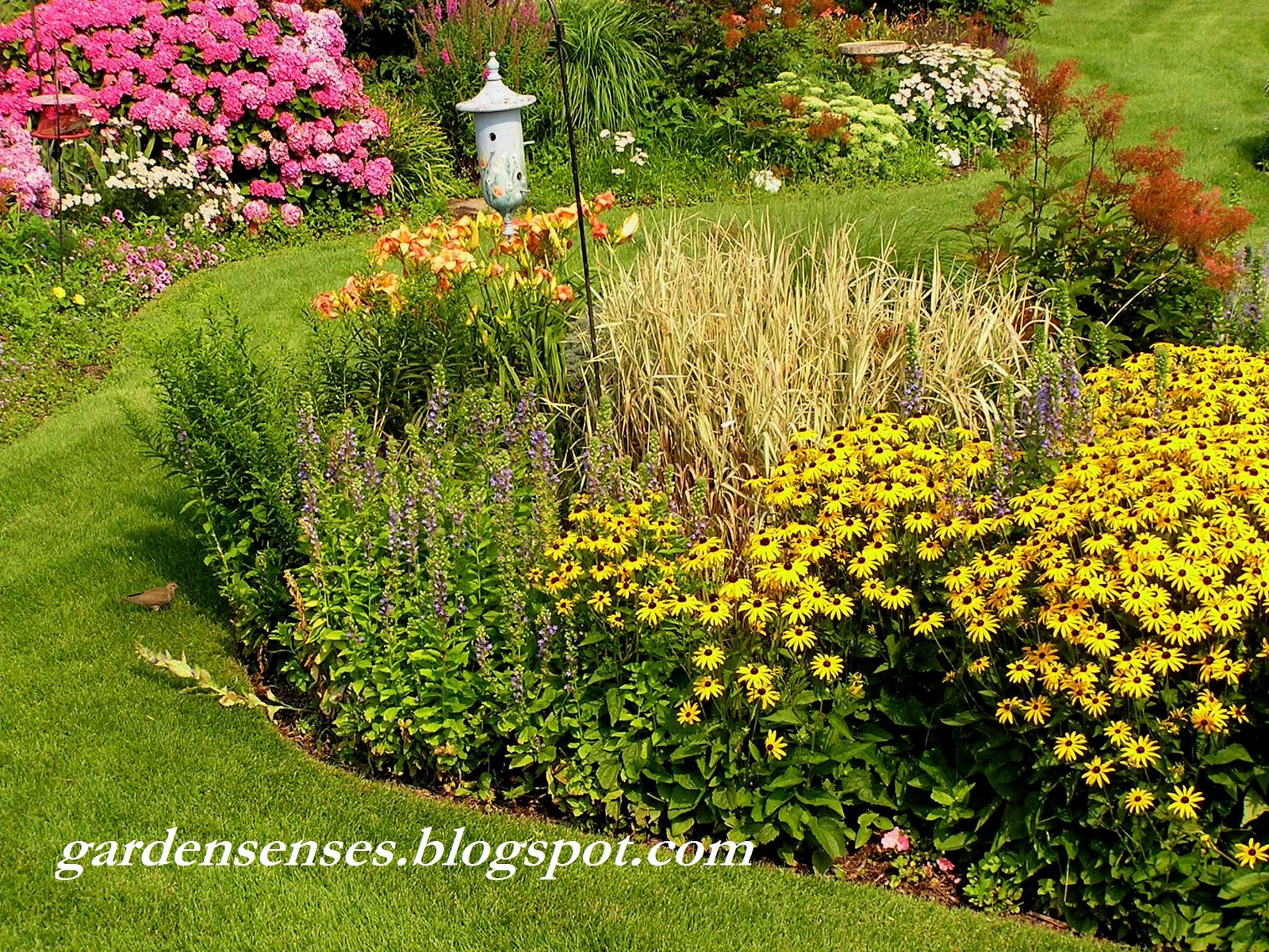 Garden Sense: Garden Design IV – Choosing the Perfect Plants