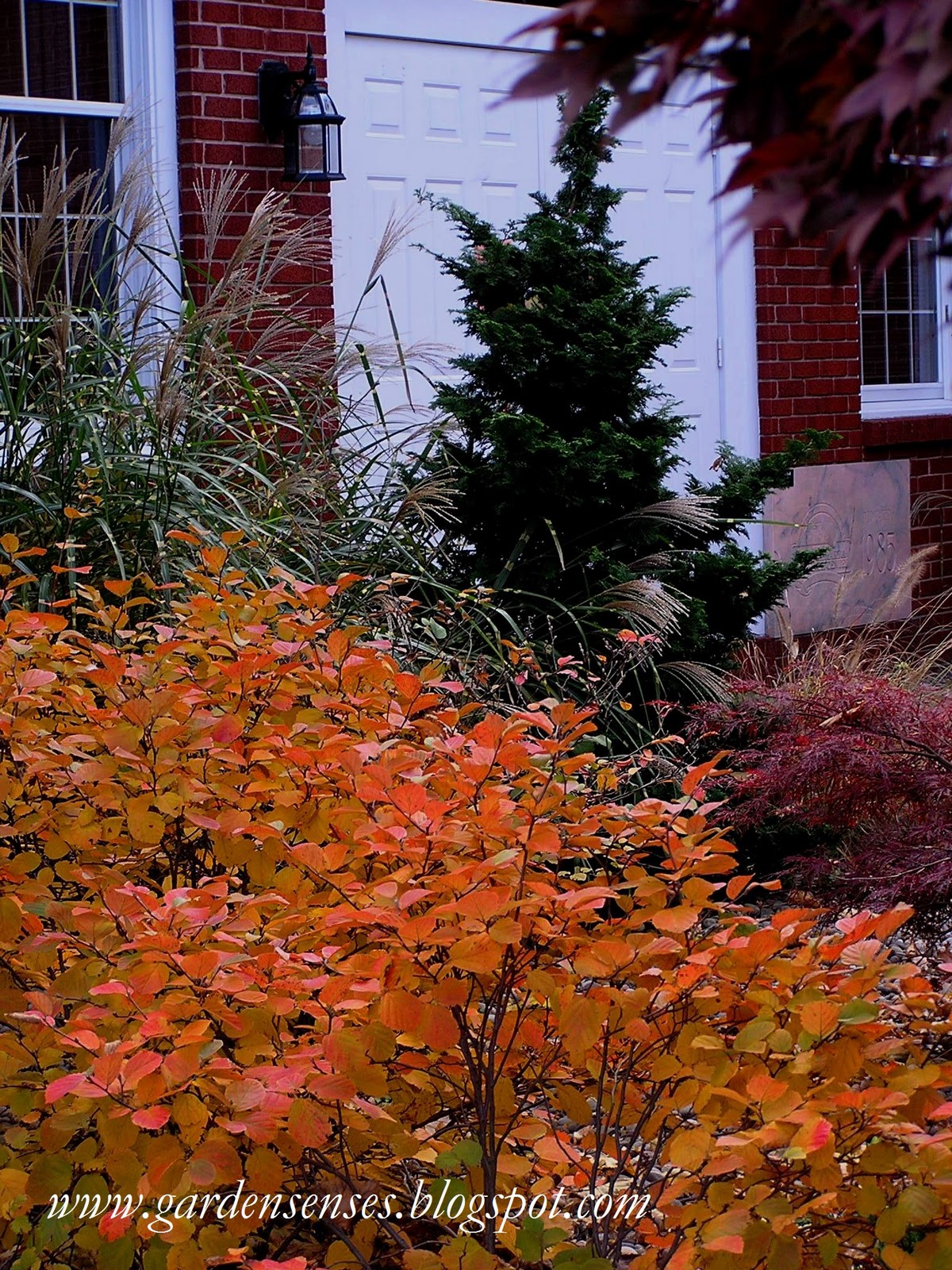 Garden Sense: Fall Ensemble