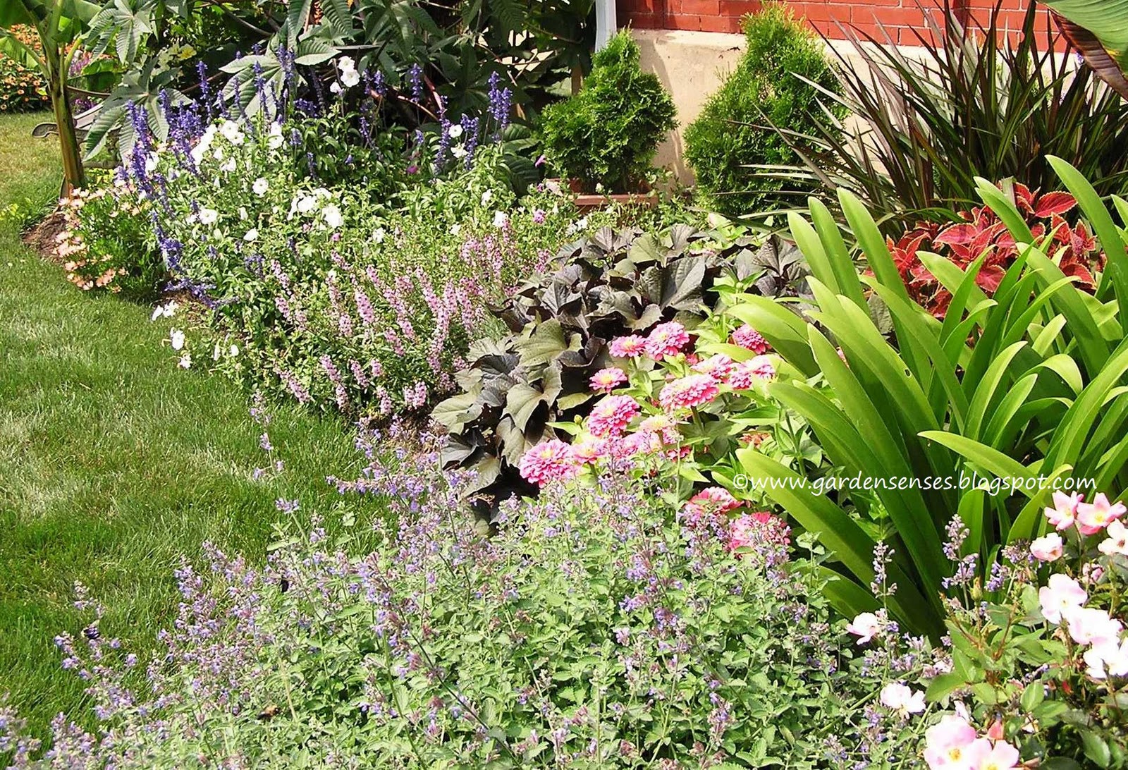 Garden Sense: Line in the Landscape