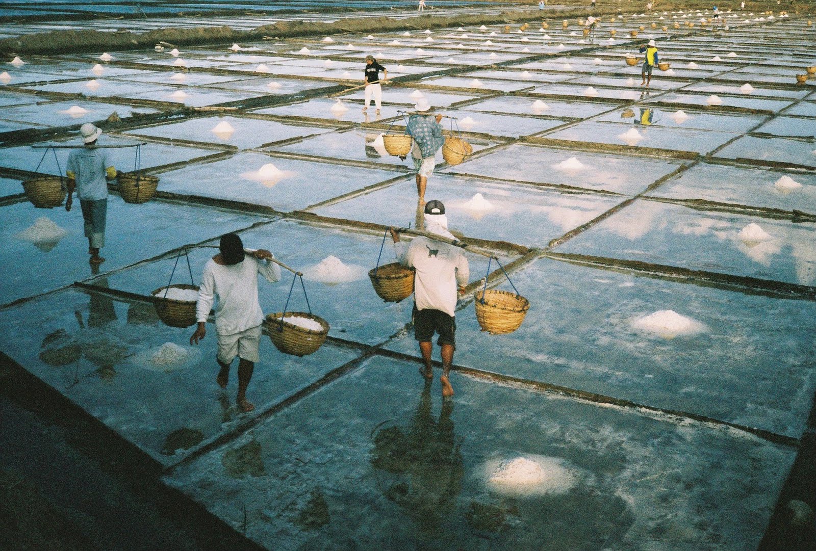 Philippines: I Wanna Be Elected & Sea Salt