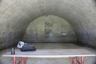 Shooting Down the Middle of the Road: Midewin - 8.15.10, Post 1