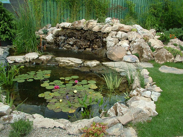Totul despre iazuri si amenajari acvatice: Iaz ornamental sau gradina ...