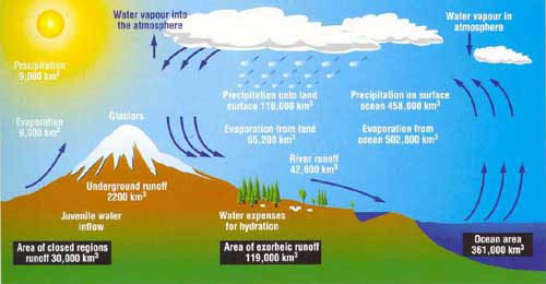 Lacuri, iazuri, bazine, hidroizolatii, constructii acvatice : Apa din ...