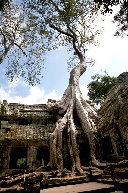 Angkor Guide: About Temples