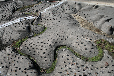LA 4002: mississippi river basin model