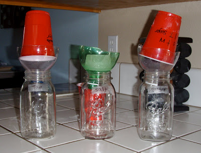 Smith Family Blog: Tap Water vs. Sugar Water vs. Salt Water