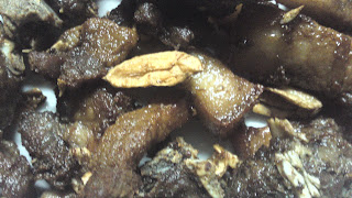 Cooking in Small Spaces: Batanes Food Trip- Part 1