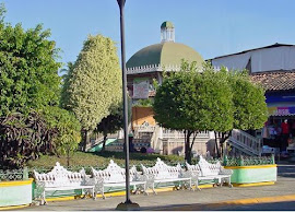 Nos Guía la Tecnologia, Nos Impulsa el ser Humano: EL TLACUACHE ...