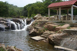 Nos Guía la Tecnologia, Nos Impulsa el ser Humano: LA IGUANA DESAPARECE ...
