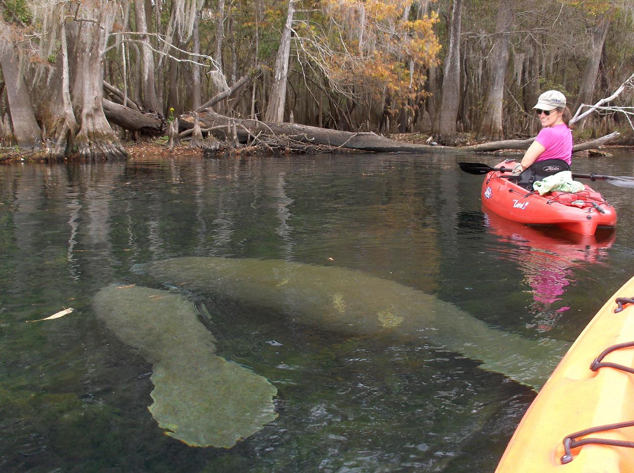 Matthew and Nancy's North American Tour: Georgia Museum of Agriculture ...