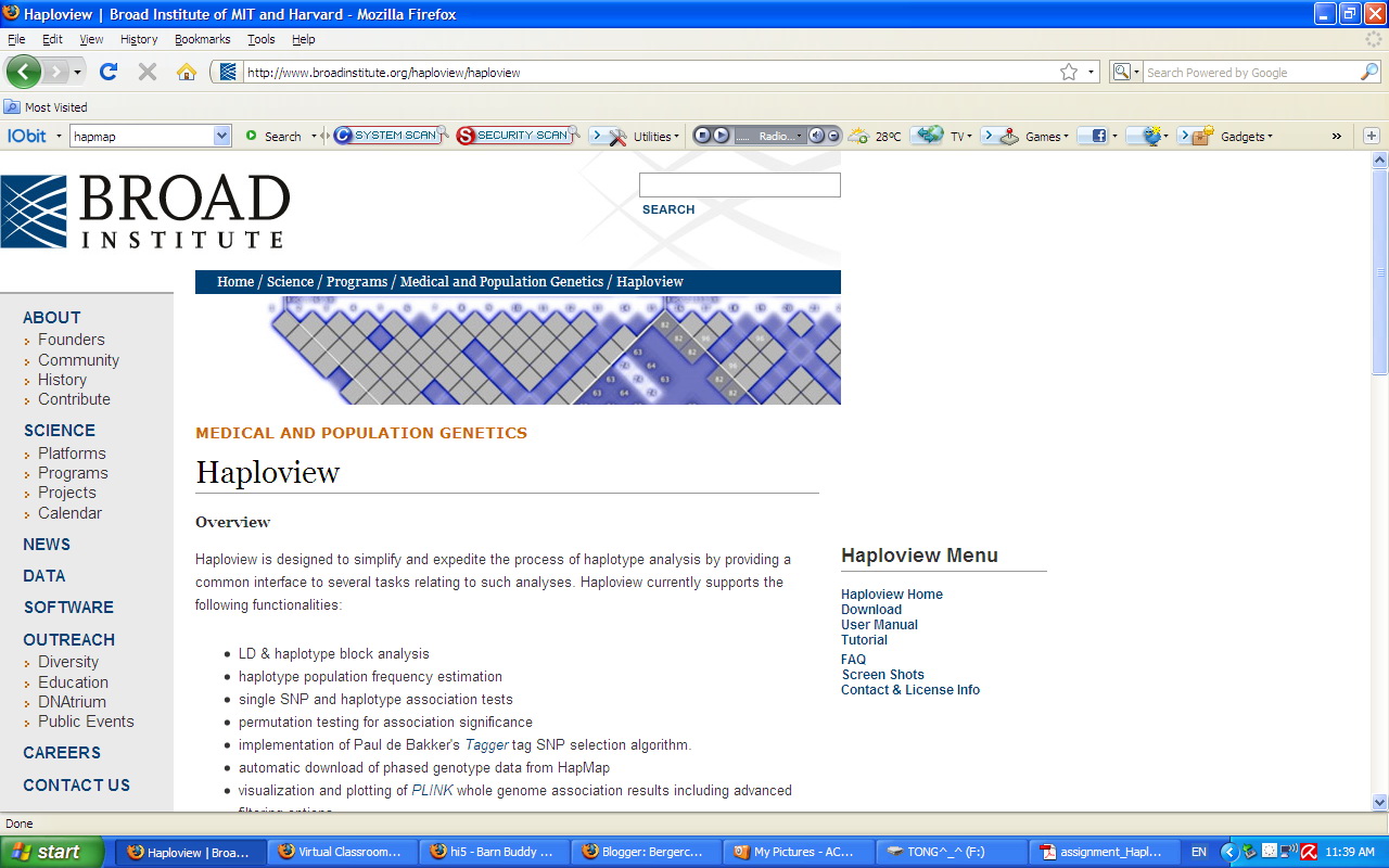 Bergerchees: Haploview