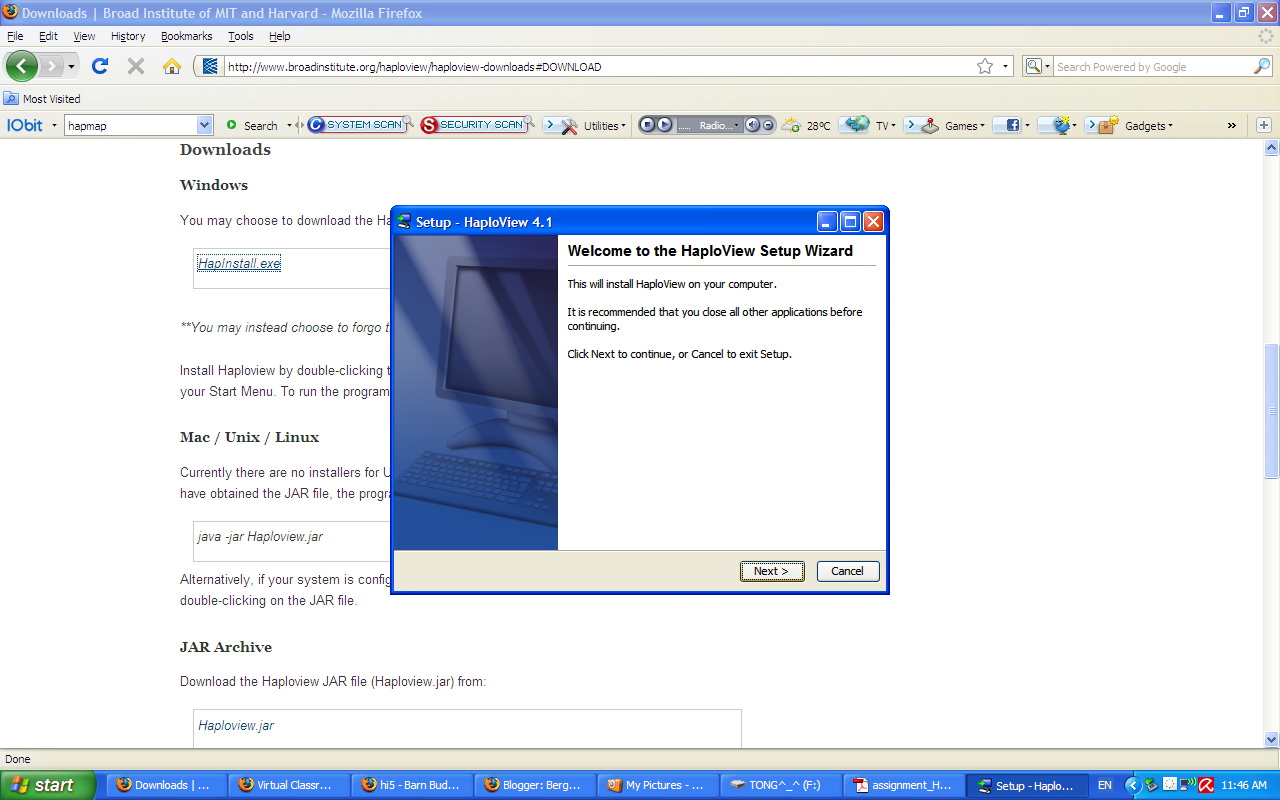 Bergerchees: Haploview