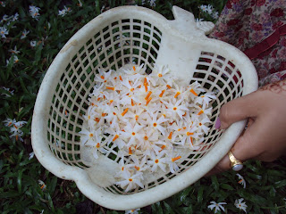 ASSAMESE FOOD: Sewali Flower - The night Jesmine