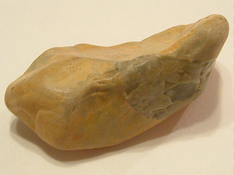 Louisiana Gravel Fossils and Agates: Rugose coral embedded in large pebble