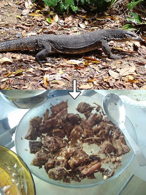 Exotic Food Recipes | Exolicious