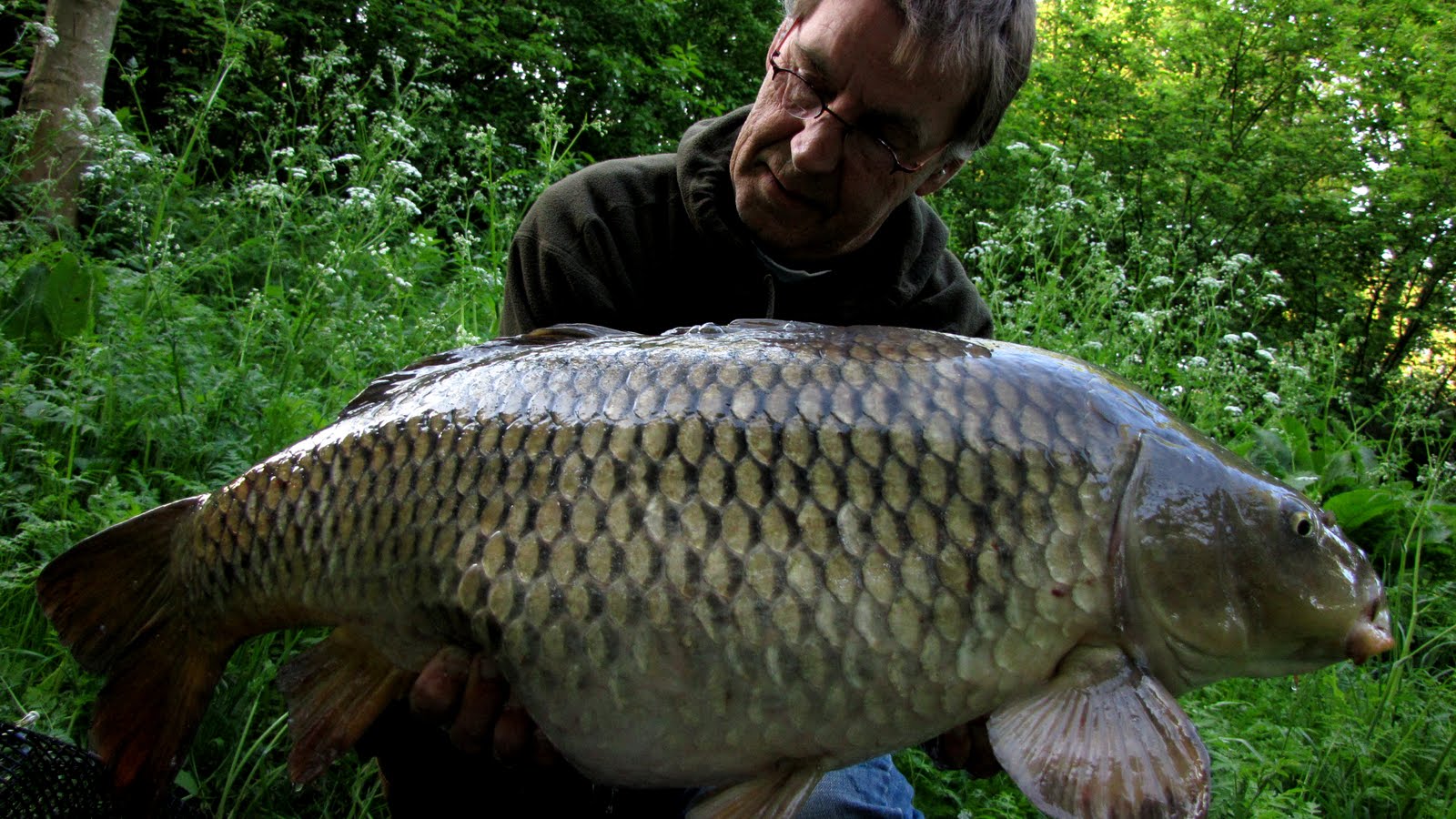 Karpervissen: Karperen met Mark