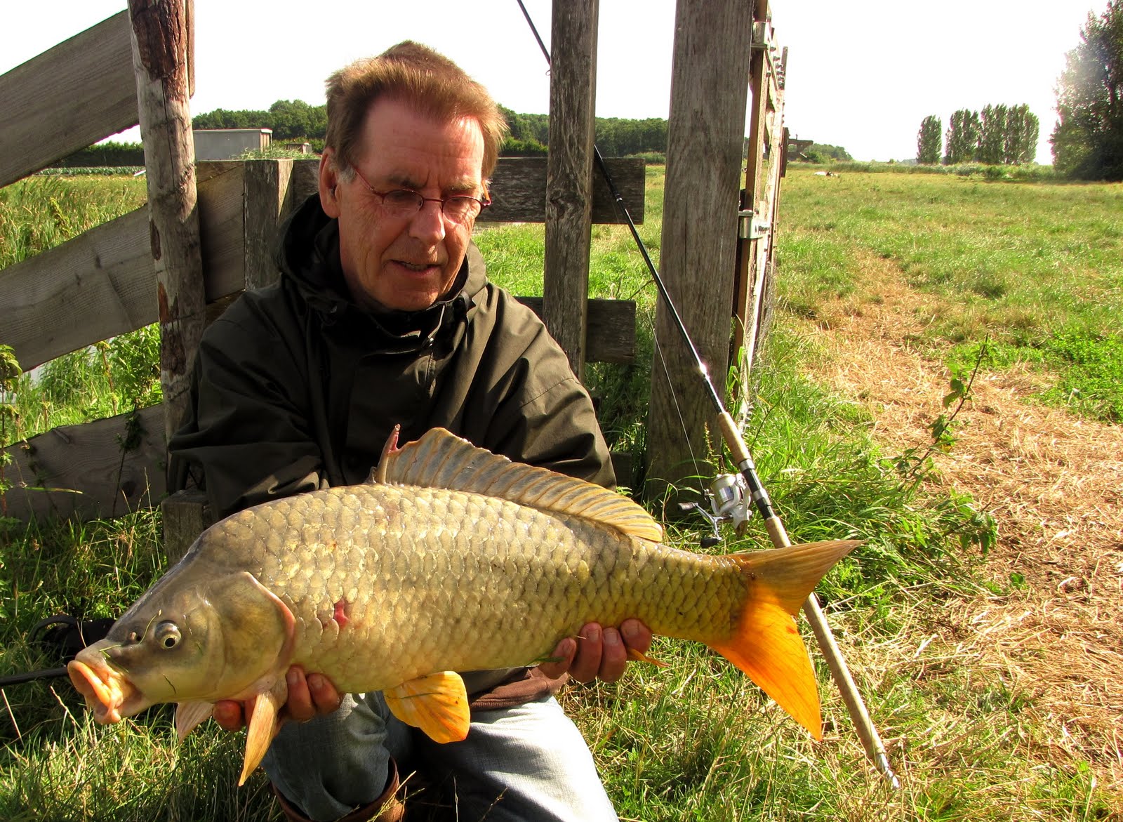 Karpervissen: Karperen in West-Friesland