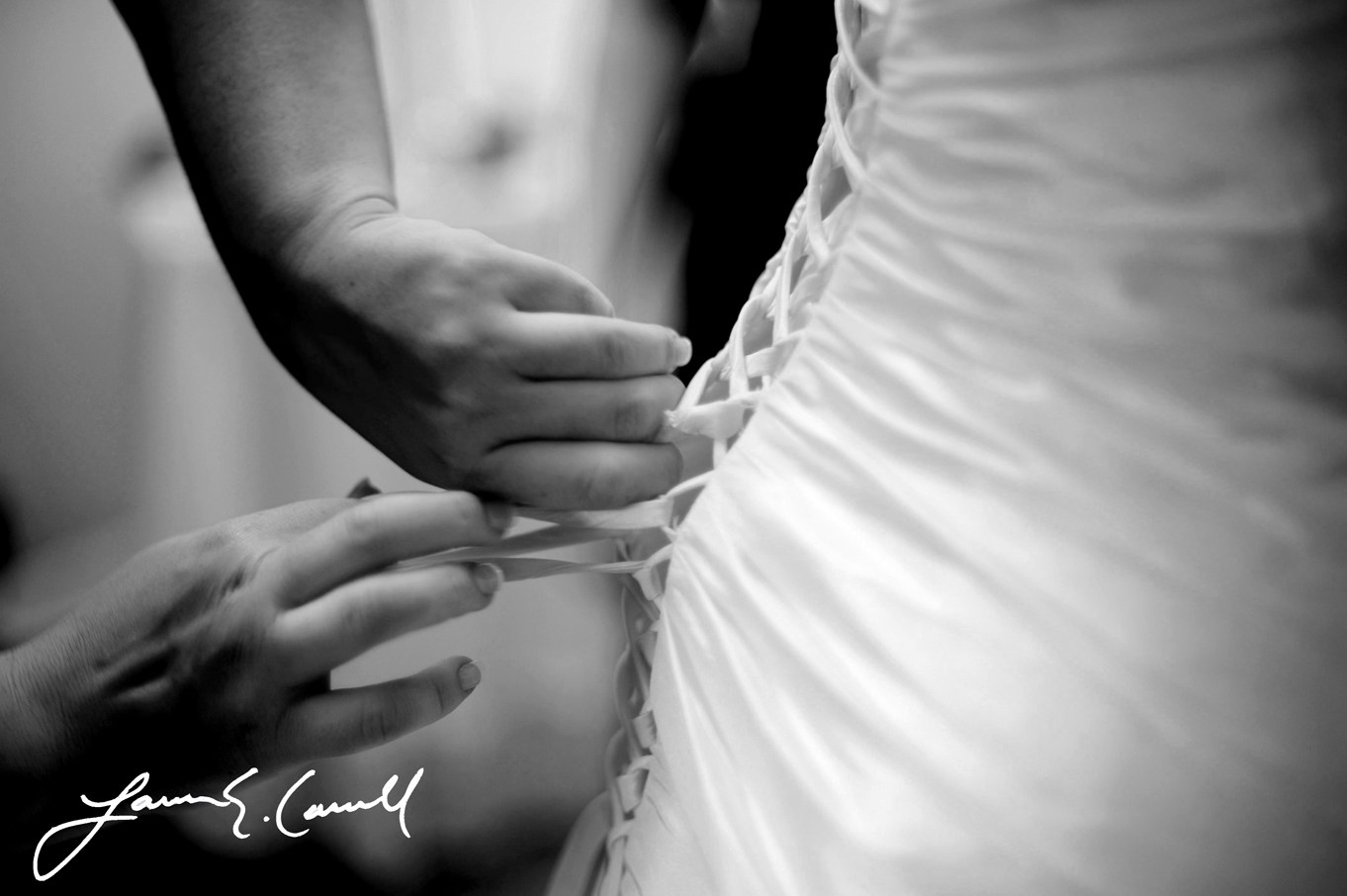 Whitmeyer Photography Blog: Strawbridge-Richardson Wedding (Lauren)