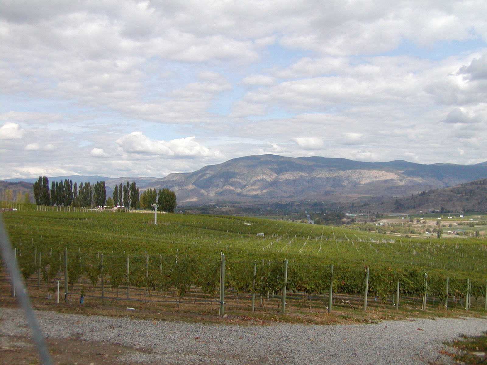 Following the Fosters to Canada 2010: Oliver, BC and the Hedley Mine Tour