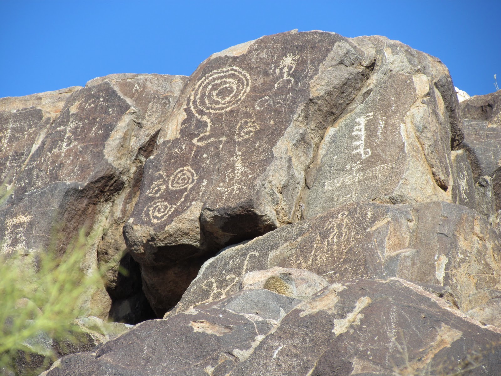 Follow the Fosters SouthEast: Tucson to the Petrified Forest
