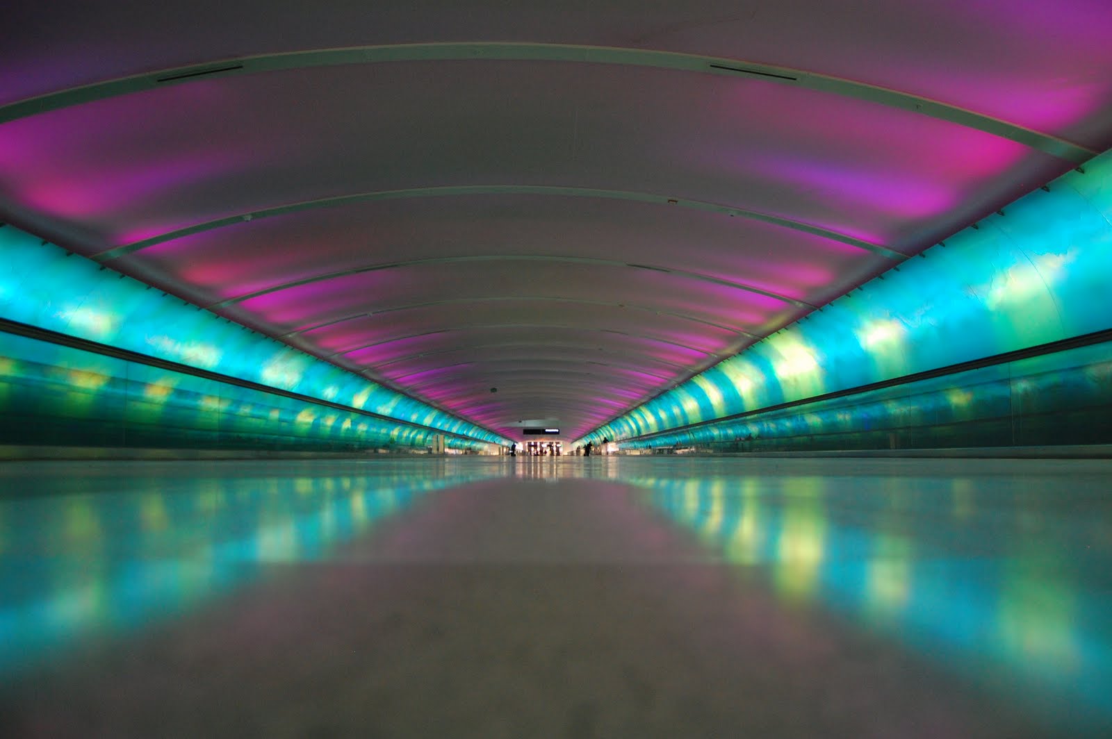Monkey Puzzle Blog: Detroit McNamara Light Tunnel