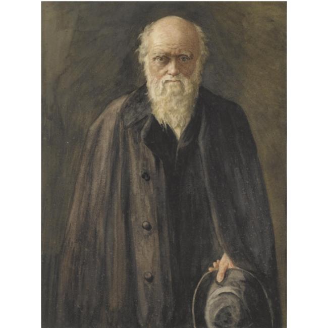 British Art: John Collier - Portrait of Charles Darwin