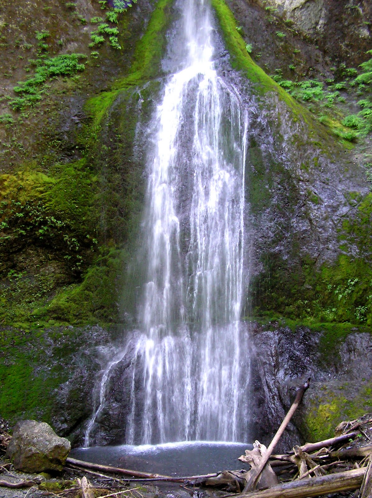 National Parks Adventure: Olympic National Park: Marymere Falls and ...