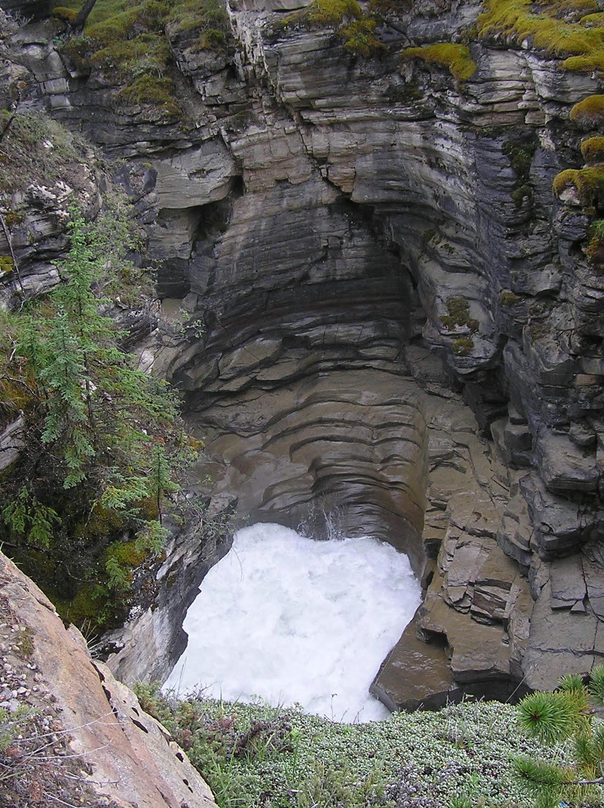 National Parks Adventure: Goodbye Jasper, Hello Icefields