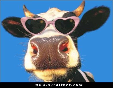 Sofies djur: roliga djur