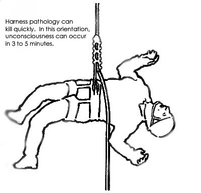 Robinson-Solutions Professional Window Cleaning: Suspension from ...