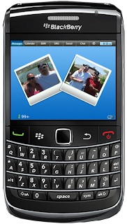 Free Download Premium Blackberry Themes