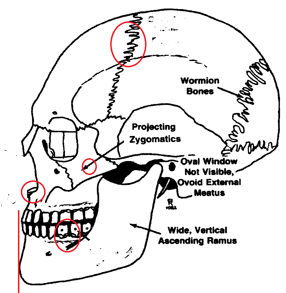 My Mind: I'll help you to tell your family who you are